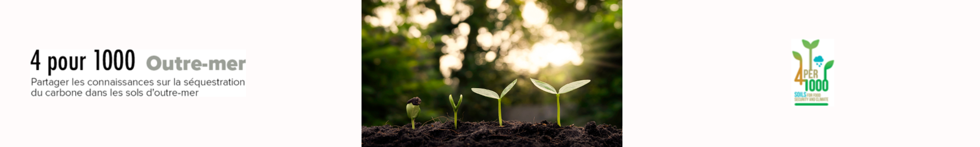 Accueil - Projet 4 pour 1000